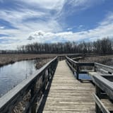 Tifft Nature Preserve Trail, New York - 699 Reviews, Map | AllTrails
