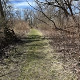 Tifft Nature Preserve Trail, New York - 699 Reviews, Map | AllTrails