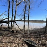 Bloodroot Trail, Indiana - 660 Reviews, Map | AllTrails