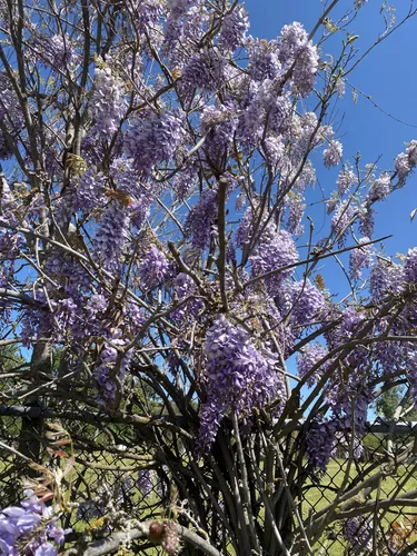 Best Hikes and Trails in Johnson Springview Park | AllTrails