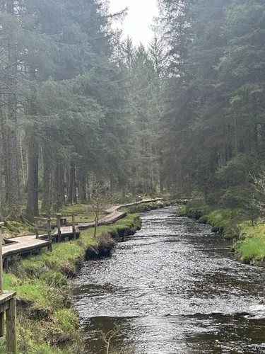 Best River Trails in Hafren Forest | AllTrails