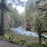 Staircase Rapids Loop, Washington - 2,453 Reviews, Map | AllTrails