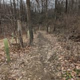 Lake Ontelaunee Trail, Pennsylvania - 185 Reviews, Map | AllTrails