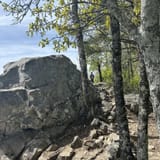 Kings Chair Loop, Alabama - 2,194 Reviews, Map | AllTrails