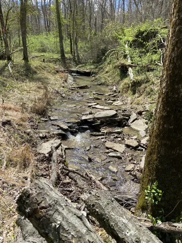 Best Lake Trails in East Fork State Park | AllTrails