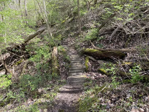 Best Lake Trails in East Fork State Park | AllTrails