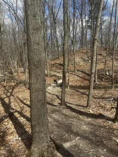 Best Forest Trails in Highland | AllTrails