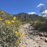 Gateway to Bell Pass, Arizona - 1,320 Reviews, Map | AllTrails