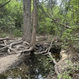 Cedar Ridge Outer Loop, Texas - 2,043 Reviews, Map | AllTrails