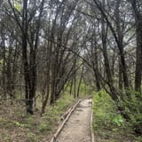Cedar Ridge Outer Loop, Texas - 2,043 Reviews, Map | AllTrails