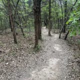 Cedar Ridge Outer Loop, Texas - 2,043 Reviews, Map | AllTrails