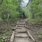 Cedar Ridge Outer Loop, Texas - 2,043 Reviews, Map | AllTrails