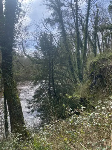 Best Waterfall Trails in Masham | AllTrails