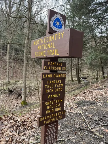 Best Hikes and Trails in Negley | AllTrails
