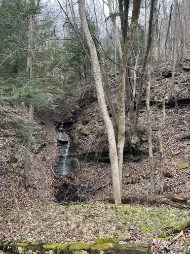 Best Hikes and Trails in Negley | AllTrails