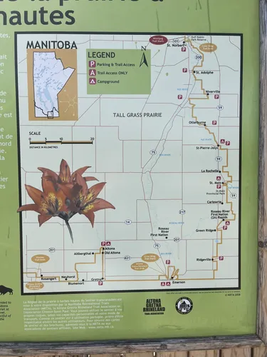 St. Malo Provincial Park: de beste routes om te wandelen | AllTrails