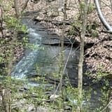 Fall Run Trail, Pennsylvania - 914 Reviews, Map | AllTrails