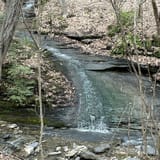 Fall Run Trail, Pennsylvania - 914 Reviews, Map | AllTrails