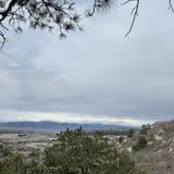 Meadow Loop and Ridge Trail, Colorado - 3,234 Reviews, Map | AllTrails