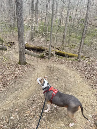 Best Hikes and Trails in Bacon Ridge Natural Area | AllTrails