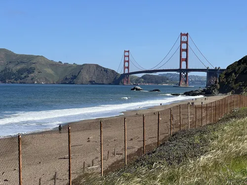 Best Forest Trails in Golden Gate Park | AllTrails