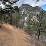Columbine Trail, Colorado - 1,957 Reviews, Map | AllTrails