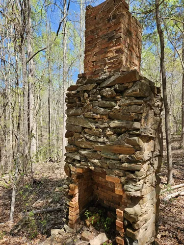 Best Horseback Riding Trails in Pauline | AllTrails