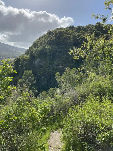 Best Moderate Trails in Garland Ranch Regional Park | AllTrails
