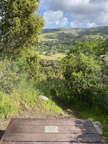 Best Moderate Trails in Garland Ranch Regional Park | AllTrails