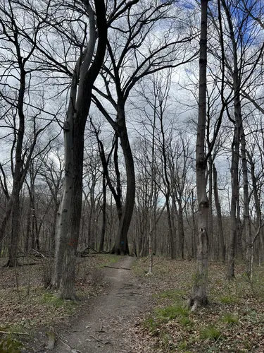 Best Hikes and Trails in Lancaster County Central Park | AllTrails