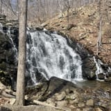 Vista Loop Trail, New Jersey - 2,848 Reviews, Map | AllTrails