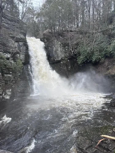 Best Hikes and Trails in Bushkill Falls | AllTrails