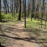Mossy Ridge Trail, Tennessee - 6,616 Reviews, Map | AllTrails