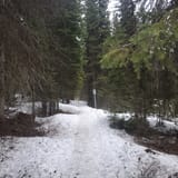 Emerald Lake Loop, British Columbia, Canada - 2,444 Reviews, Map ...