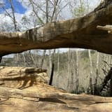 Princess Arch Trail, Kentucky - 1,331 Reviews, Map | AllTrails