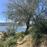 Bartlett Reservoir Trail , Arizona - 260 Reviews, Map | AllTrails