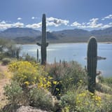 Bartlett Reservoir Trail , Arizona - 260 Reviews, Map | AllTrails