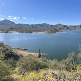 Bartlett Reservoir Trail , Arizona - 260 Reviews, Map | AllTrails