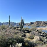 Bartlett Reservoir Trail , Arizona - 260 Reviews, Map | AllTrails