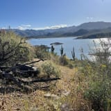 Bartlett Reservoir Trail , Arizona - 260 Reviews, Map | AllTrails