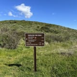 Ray Miller Backbone Trail, California - 2,014 Reviews, Map | AllTrails