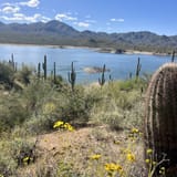 Bartlett Reservoir Trail , Arizona - 260 Reviews, Map | AllTrails