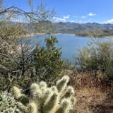 Bartlett Reservoir Trail , Arizona - 260 Reviews, Map | AllTrails