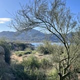 Bartlett Reservoir Trail , Arizona - 263 Reviews, Map | AllTrails