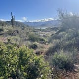 Bartlett Reservoir Trail , Arizona - 263 Reviews, Map | AllTrails