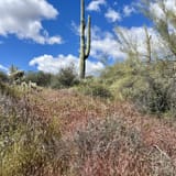 Bartlett Reservoir Trail , Arizona - 349 Reviews, Map | AllTrails