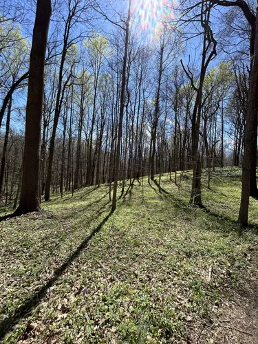 Best Hikes and Trails in Vincennes | AllTrails