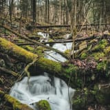 Jacoby Falls Trail, Pennsylvania - 641 Reviews, Map | AllTrails