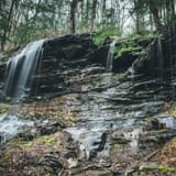 Jacoby Falls Trail, Pennsylvania - 641 Reviews, Map | AllTrails