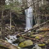 Jacoby Falls Trail, Pennsylvania - 641 Reviews, Map | AllTrails